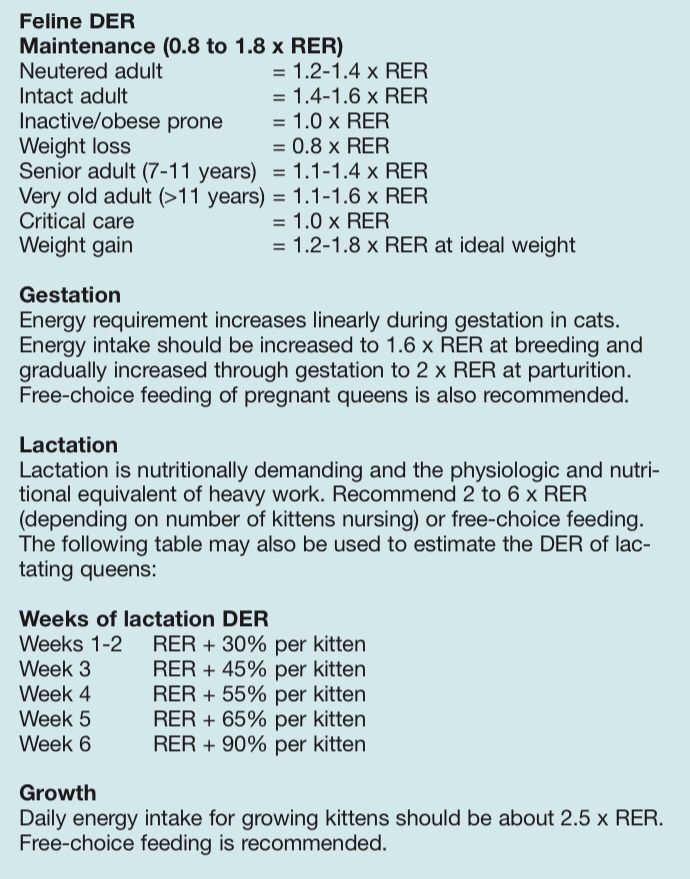 Don’t fear the feed! How to use feeding tubes – nutrition rvn